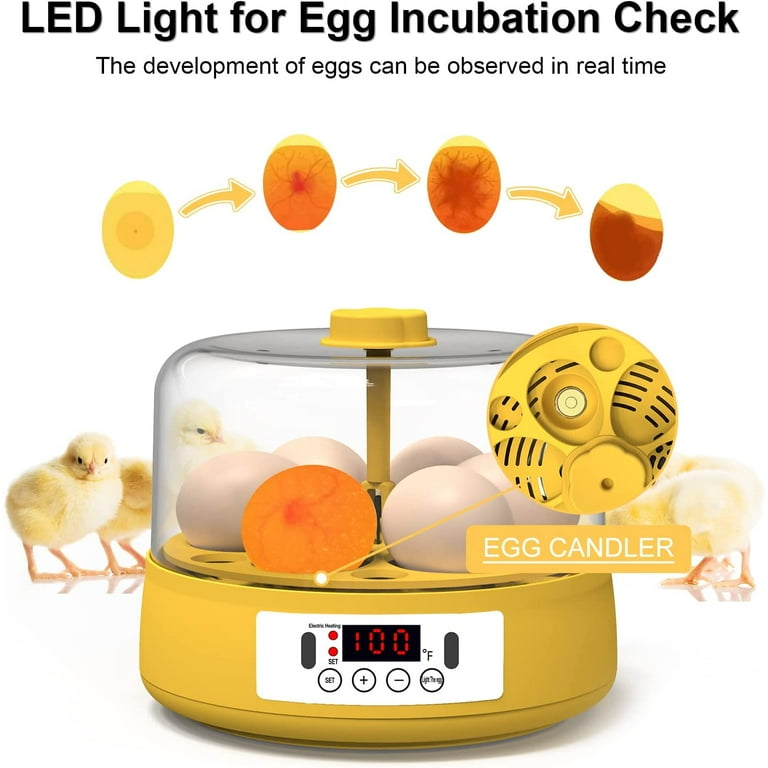 Walmart Incubators For Hatching Eggs