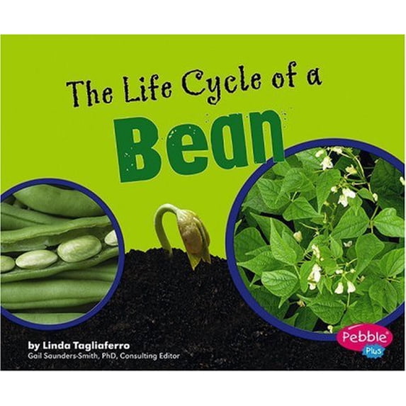 Pre-Owned Plant Life Cycles: The Life Cycle of a Bean (Hardcover ...