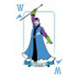 Wizard Medieval Edition - Walmart.com