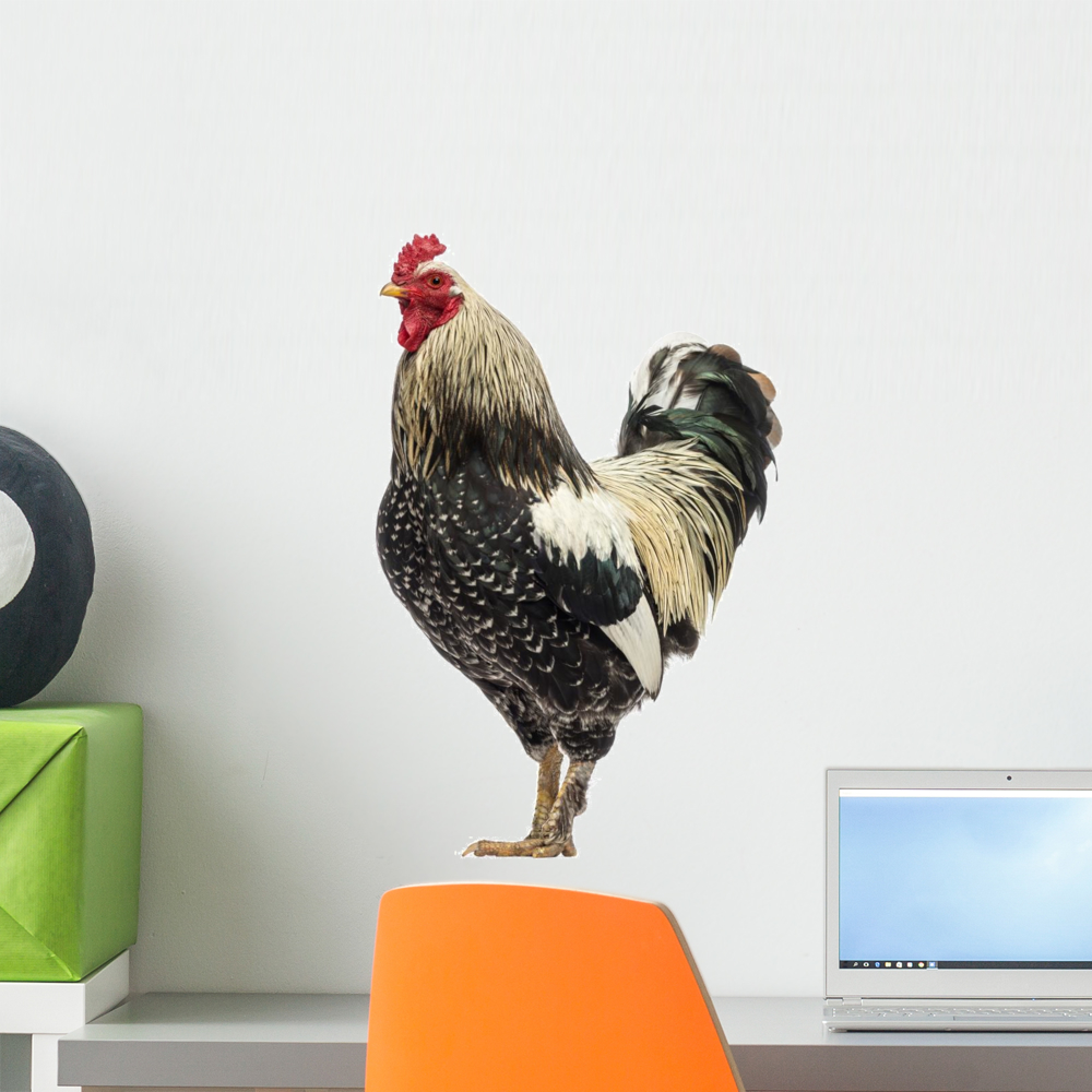 Side Brahma Rooster Wall Decal Sticker by Wallmonkeys Vinyl Peel and ...