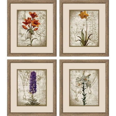Botanical Flowers Floral Wall Art, Set of 2 - Walmart.com
