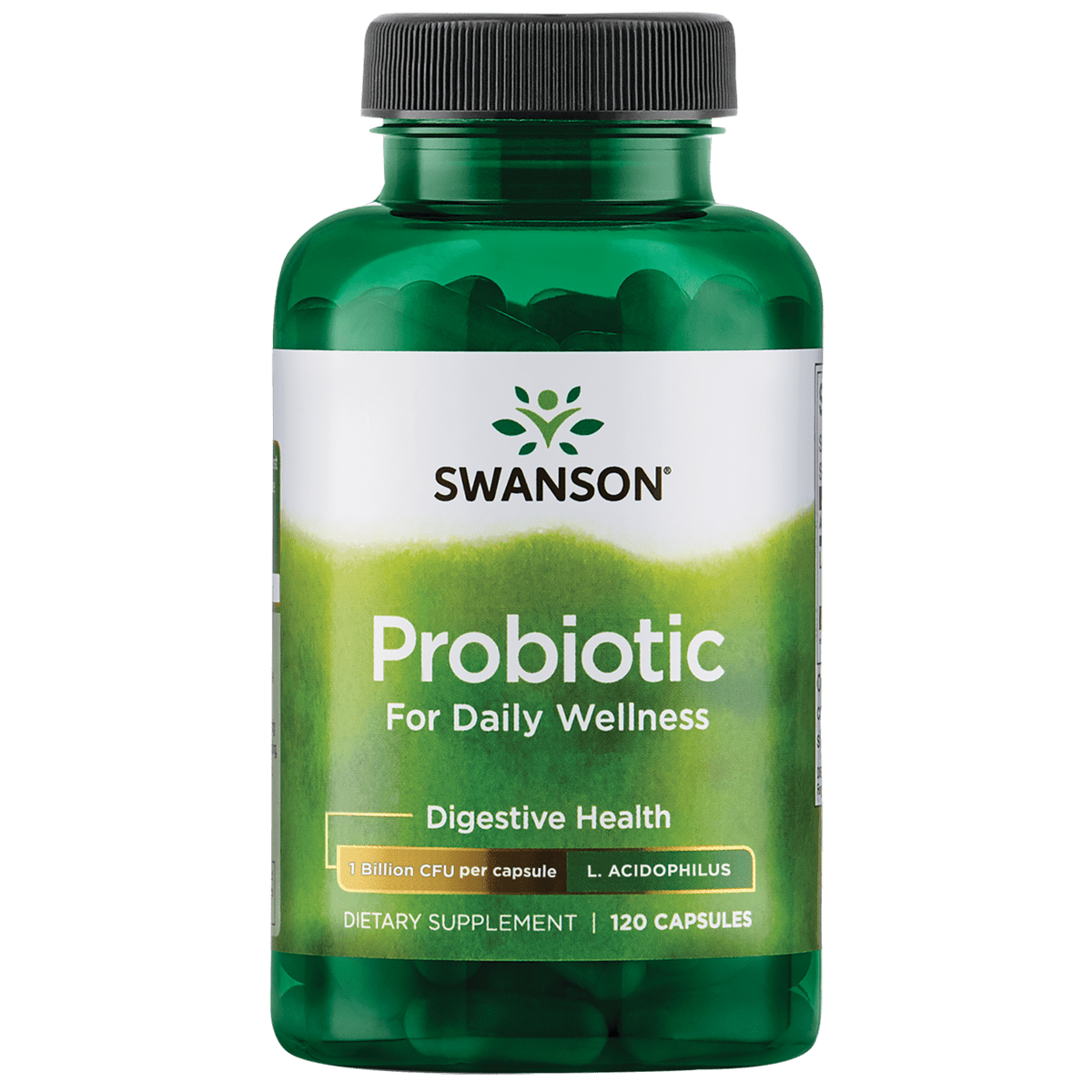 Swanson Probiotic for Daily Wellness 2 Billion Cfu 120 Capsules ...