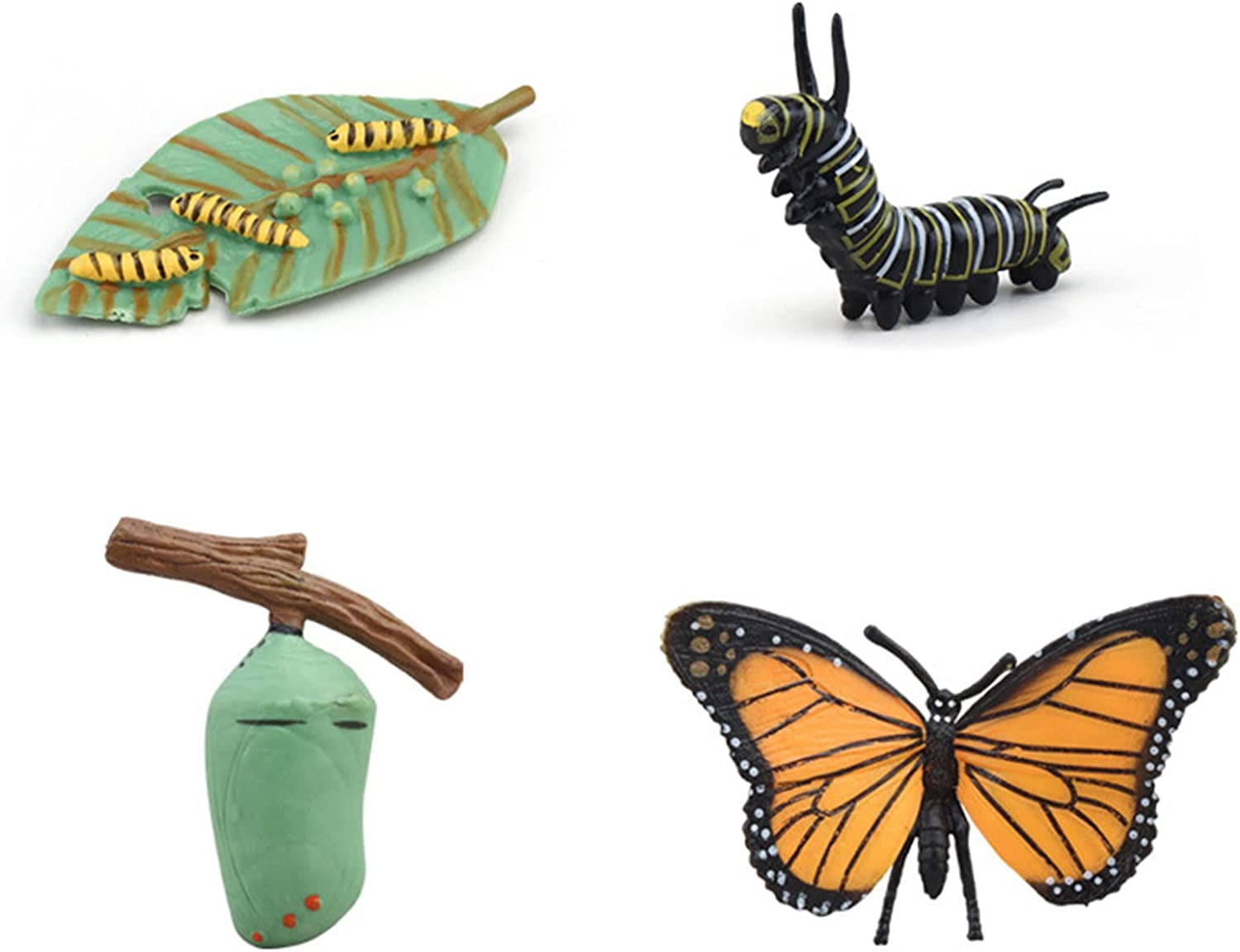 4PC Insect Figurines Life Cycle of Rooster, Ant, Bee, Butterfly ...