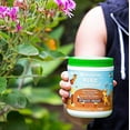 Amazing Grass Kidz Superfood Powder, Chocolate, 15 Packets - Walmart.com
