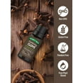 Nature's Truth, Clove Essential Oil, 15 mL, 100% Pure, Undiluted, GC/MS ...