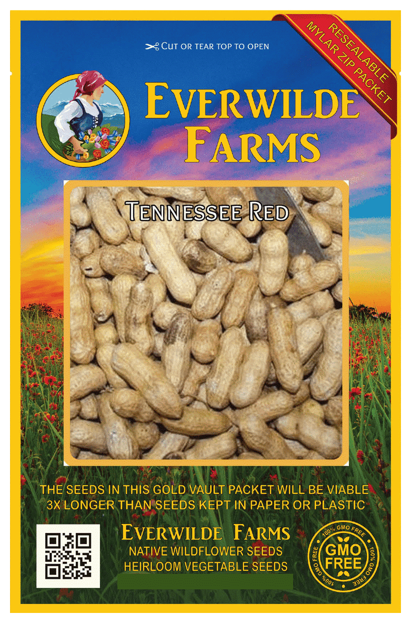 Everwilde Farms - 20 Tennessee Red Peanut Seeds (Treated) - Gold Vault ...