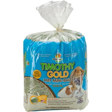 Higgins Premium Nutrition Mix Blend, Sunburst Rat & Mouse Small Animal ...