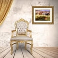 Goldrick, Claire 32x25 Gold Ornate Wood Framed with Double Matting ...