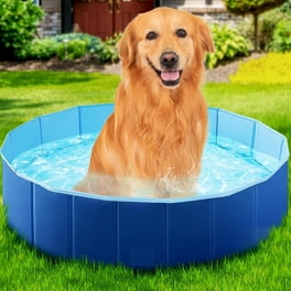 Walmart dog pool store