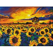 The Original Sea-Monkeys Instant Life Kit - Everything You Need to ...