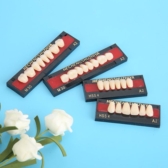 Temporary False Teeth