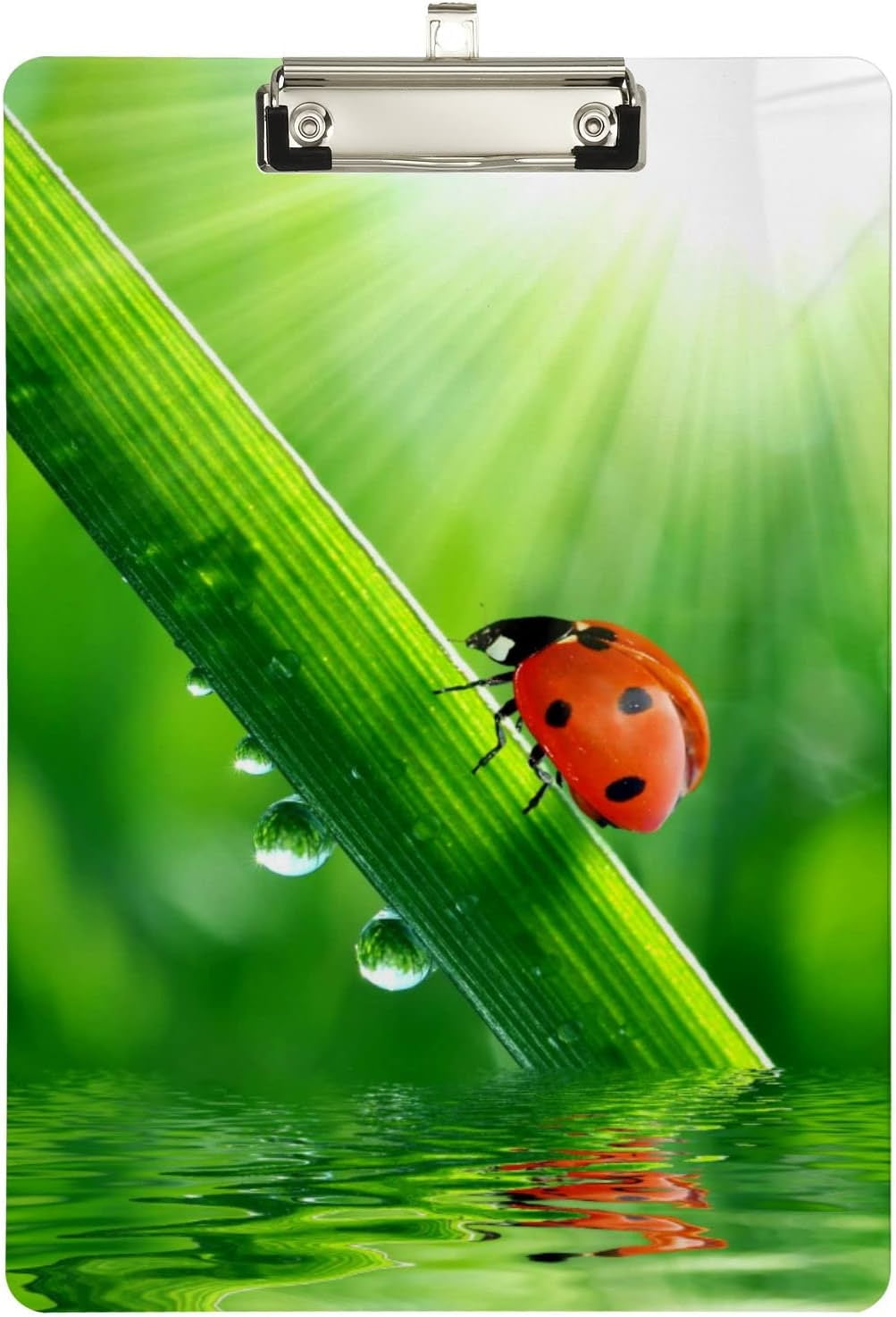 KXMDXA Ladybird Ladybug Clipboard Hardboard Wood Nursing Clip Board and ...