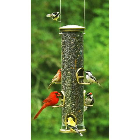 Click here for Aspects Quick-Clean Big Tube Feeder  Antique Brass prices