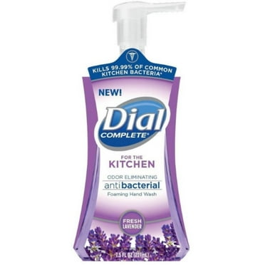 Dial Complete Foaming Hand Wash Soothing White Tea 7.50 oz (Pack of 4 ...
