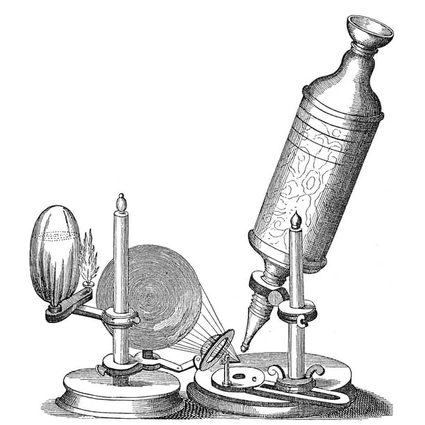 Micrographia Hooke