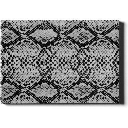Wall Art for Office Different Snake Skin Wall Decorations 12 X 16 Inch ...