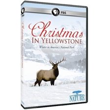 Victorian Slum House (DVD), PBS (Direct), Documentary - Walmart.com