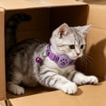 2026 Anti-Lost Pet Collar Cat GPS Locator Reflective Safety Design Soft ...