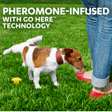 Simple Solution Dog/Puppy Outdoor Potty Training Pee Post - 13in. Stake ...