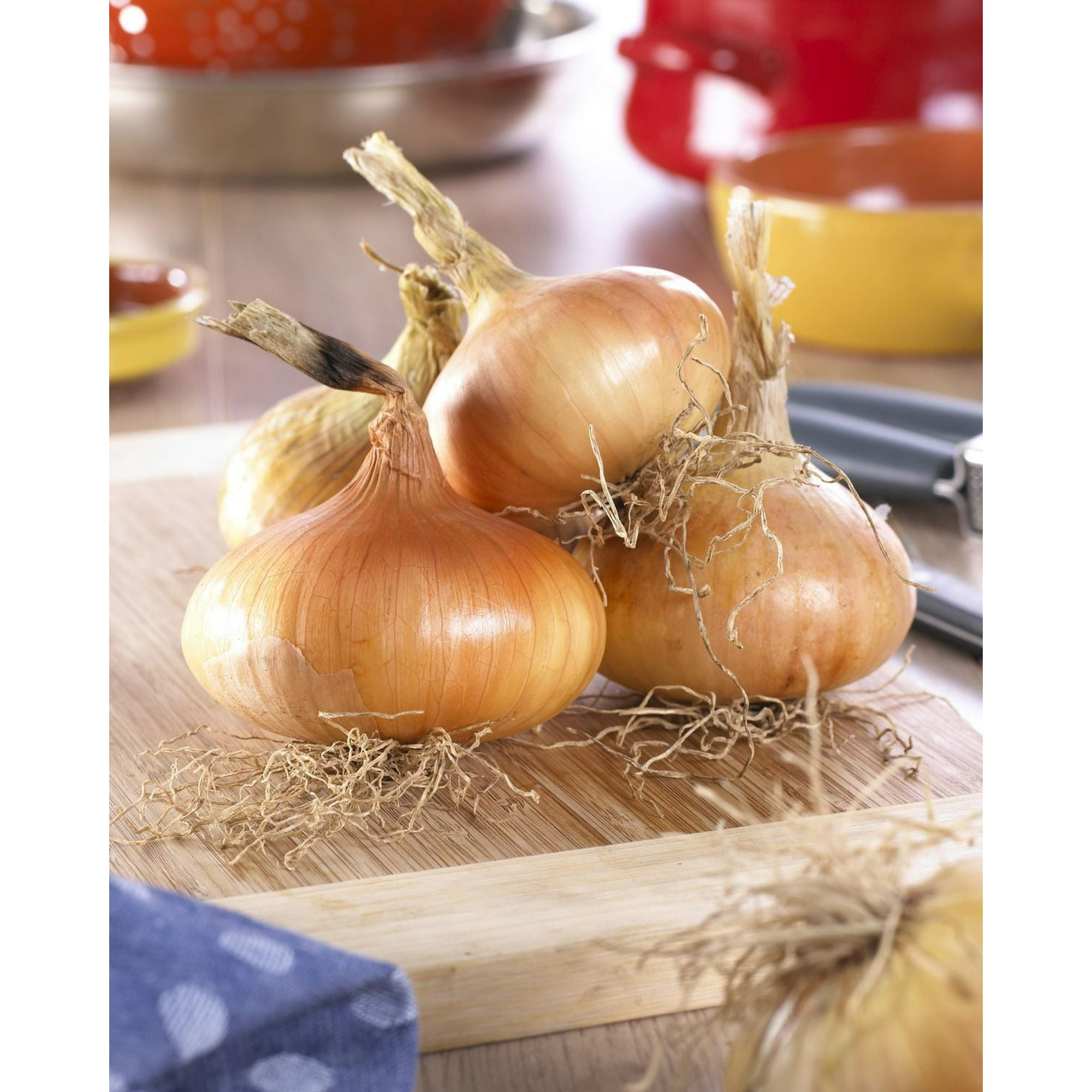 Click here for Tasc Onion Bulbs - Yellow Onion Stuttgarter Vegeta... prices