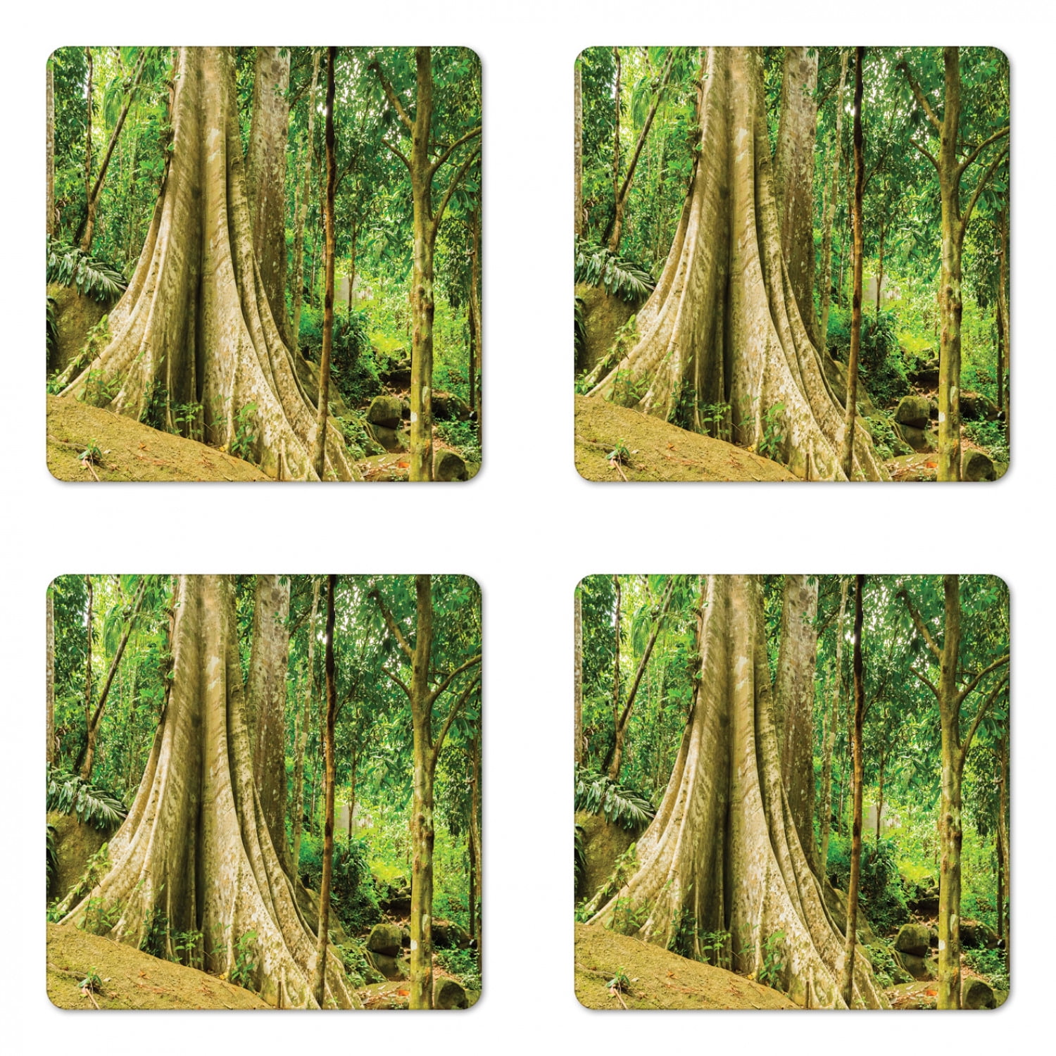 Tree Coaster Set of 4, Scene of a Big Tree Trunk in Thailand, Square ...