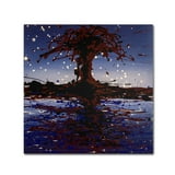 Trademark Fine Art "Lake Tree" Canvas Art by Roderick Stevens - Walmart.com