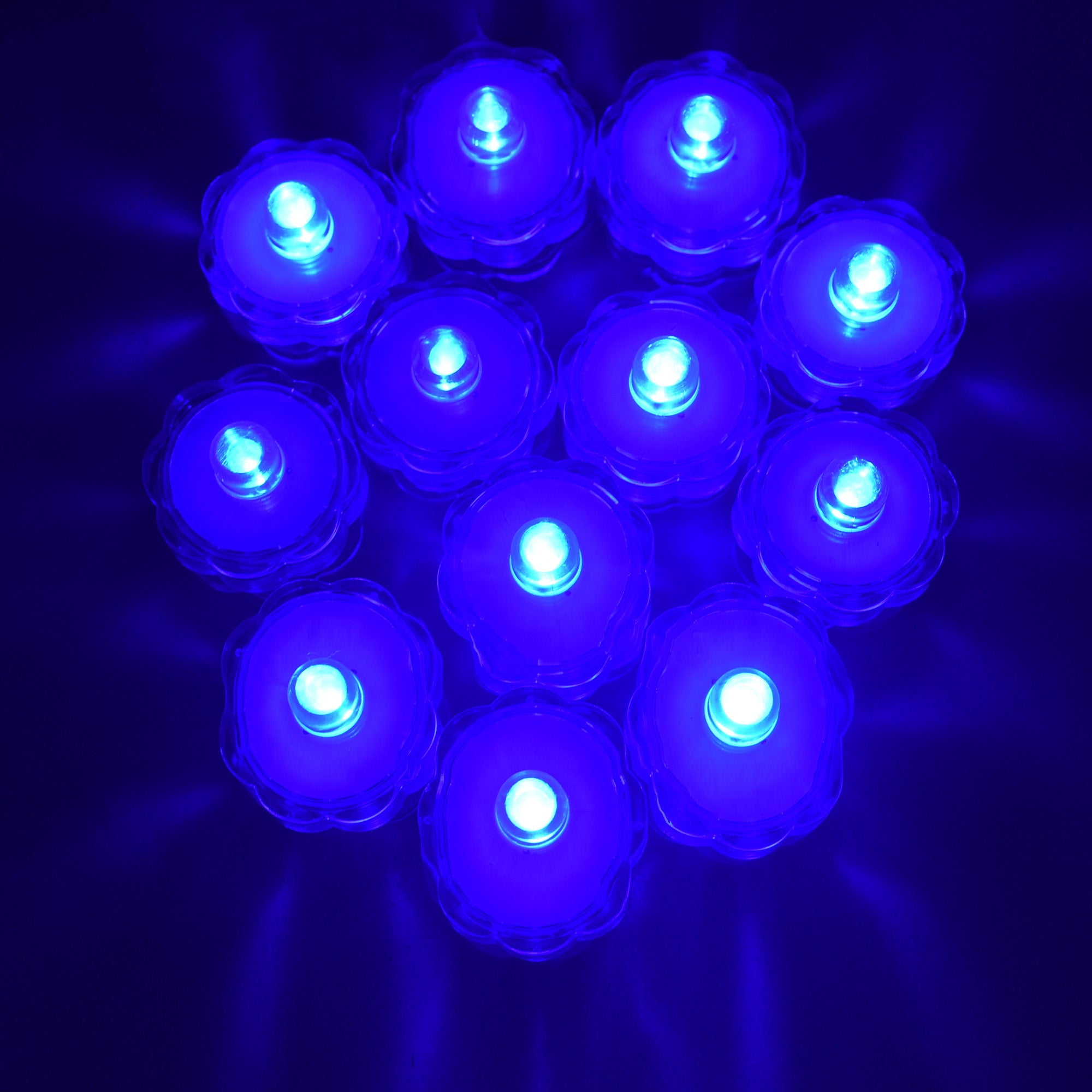 LED Floral Submersible Base Lights, 1-1/2-Inch, 12-Count - Turquoise ...
