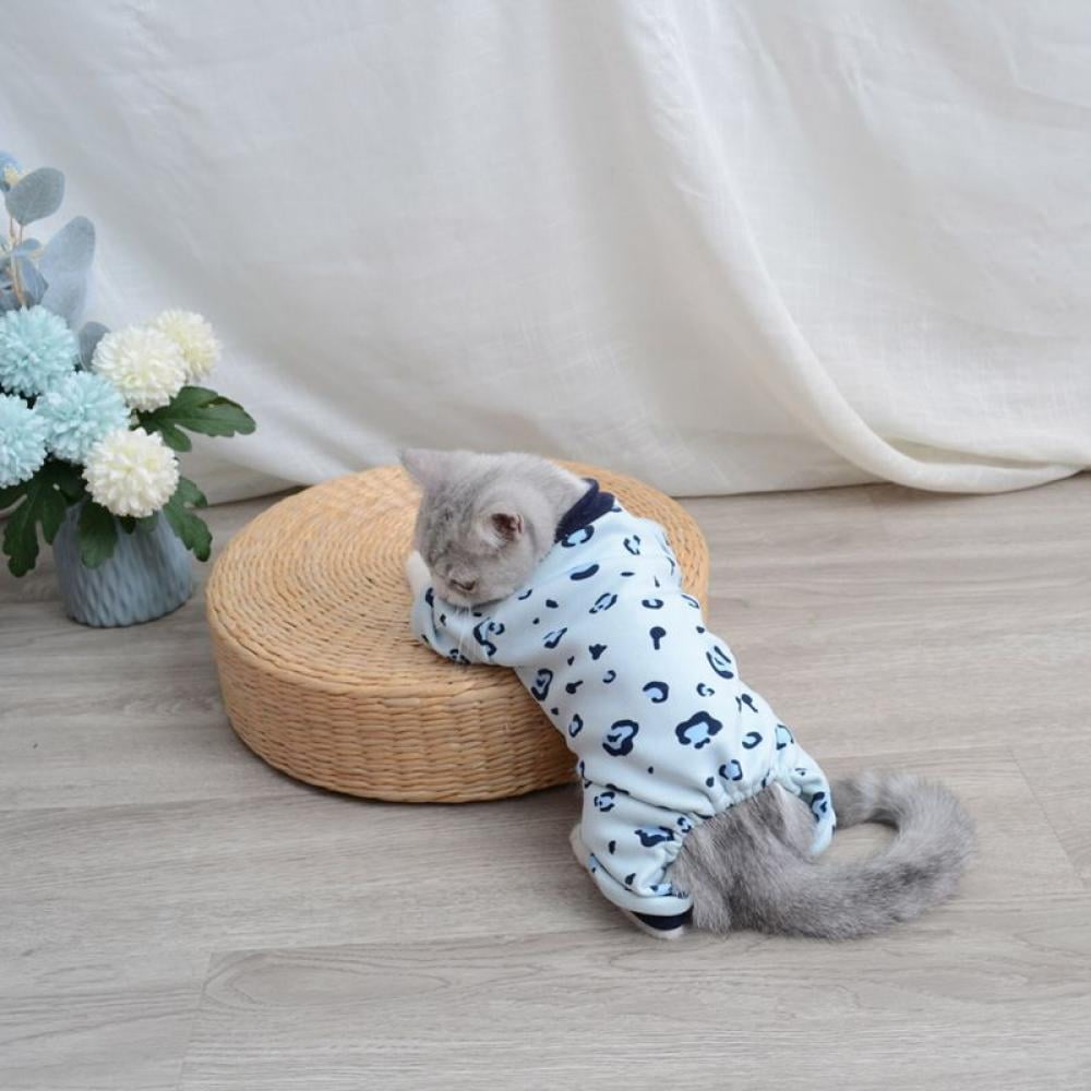 Kittens In Pajamas