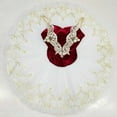 Flower Professional Ballet Tutu White Swan Lake Platter Tutu Romantic
