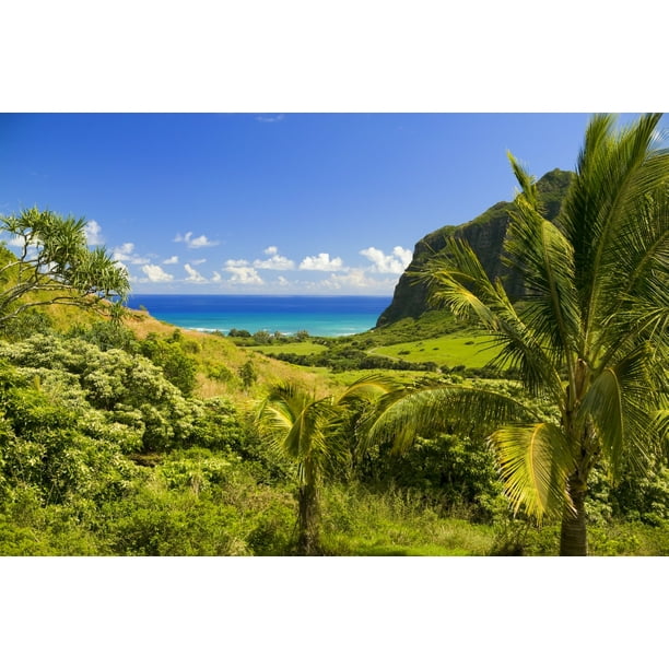 Hawaii, Oahu, Kualoa Ranch, Mountains And Ocean In Distance Poster ...