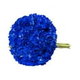 Hydrangeas 15 Stems of Airbrushed Dark Blue Farm Direct Fresh Cut ...