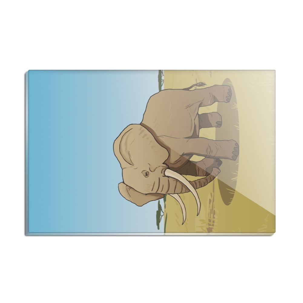 African Elephant Rectangle Acrylic Fridge Refrigerator Magnet - Walmart.com