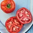 Burpee Organic Rutgers Tomato Vegetable Seed, 1-Pack - Walmart.com