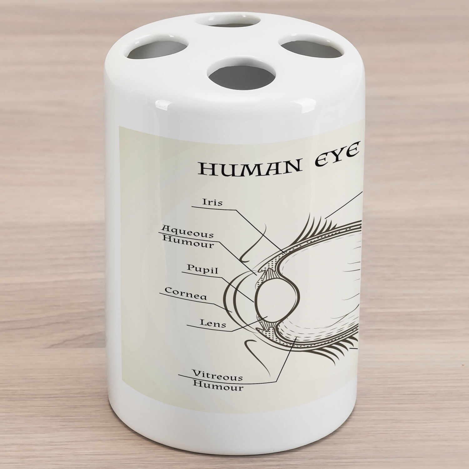 Biology Ceramic Toothbrush Holder, Structure of Human Eye Anatomy Iris ...