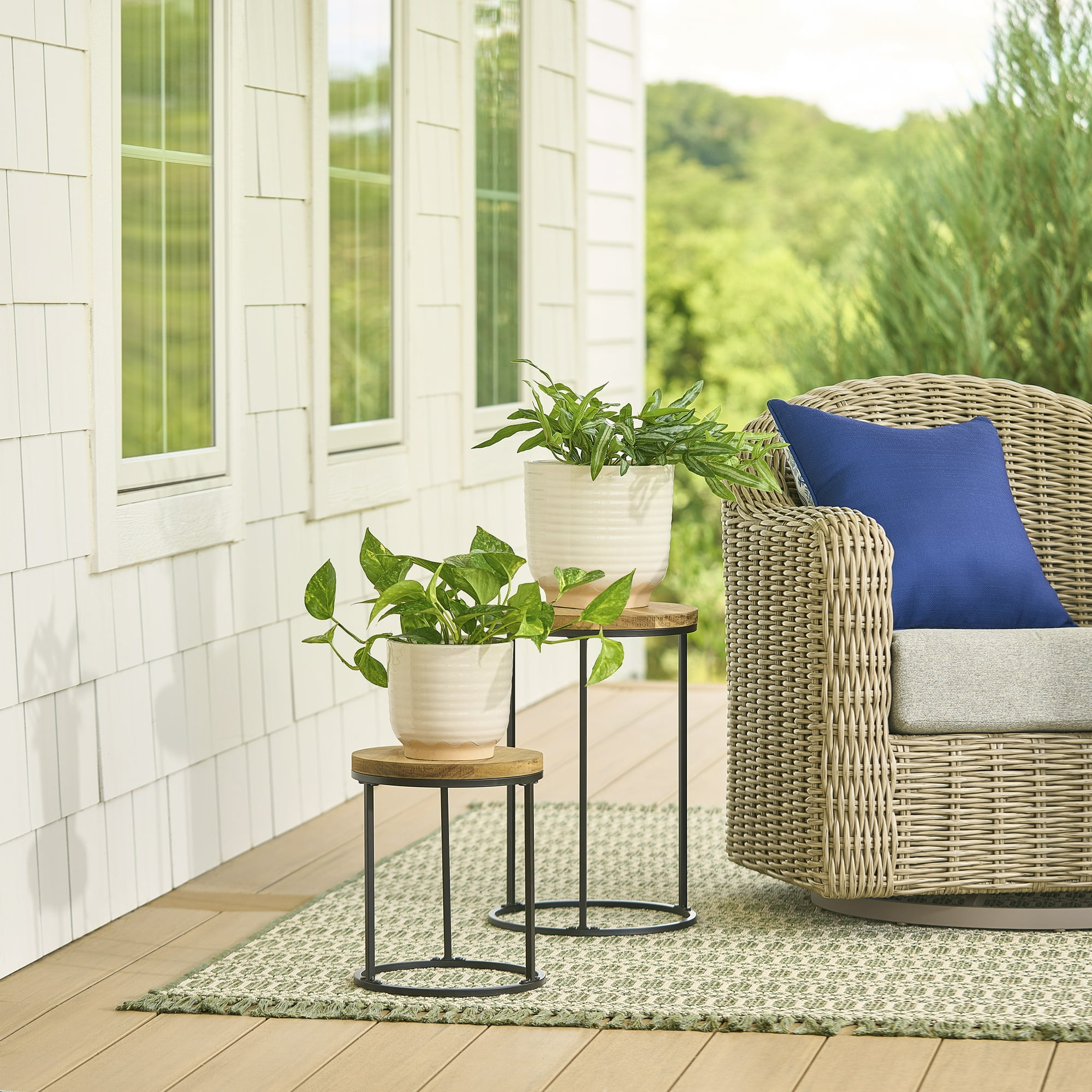 Click here for Bhg Pl Better Homes And Gardens Acacia Top Plant S... prices