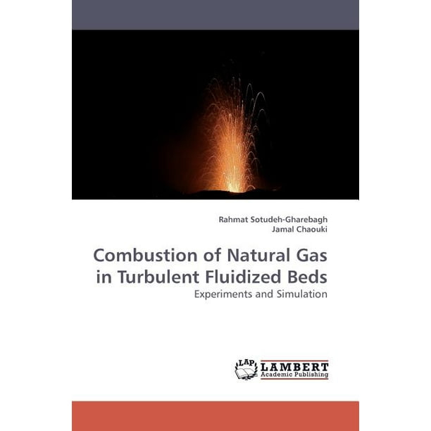 Fluidized Bed Combustion