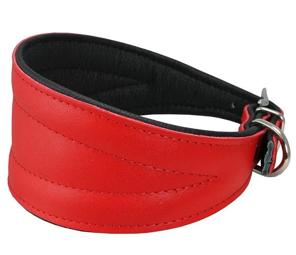 Dogs My Love Real Leather Extra Wide Padded Tapered Dog Collar (14.25 ...