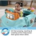 Fisher-Price 2-in-1 Sweet Ride Jumperoo Activity Center & Learning Toy ...