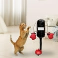 Cat Boxing Toy – Interactive Punching Bag with Suction Cup, Bells ...