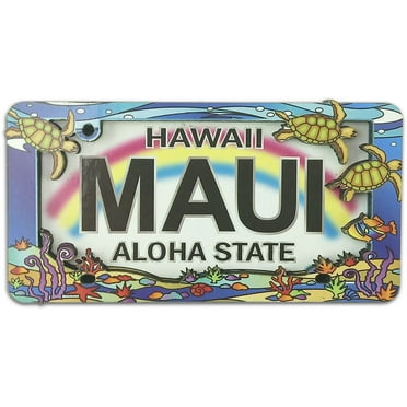 SOUVENIR MAGNET Hawaii Flower 3 Pack Refrigerator Fridge Souvenir ...