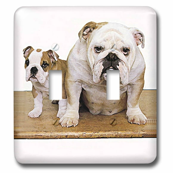 British Light Switch