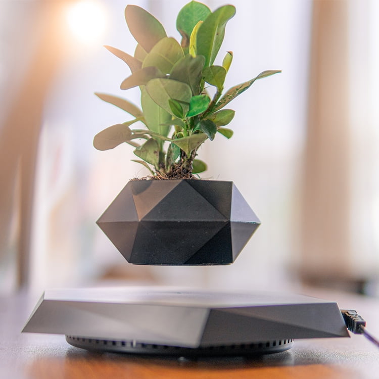 Loyalheartdy Floating Flower Pot Black ABS Hexagonal Magnetic ...