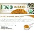 Feel Good Organic Fortified Turmeric Powder, 16 oz. - Walmart.com