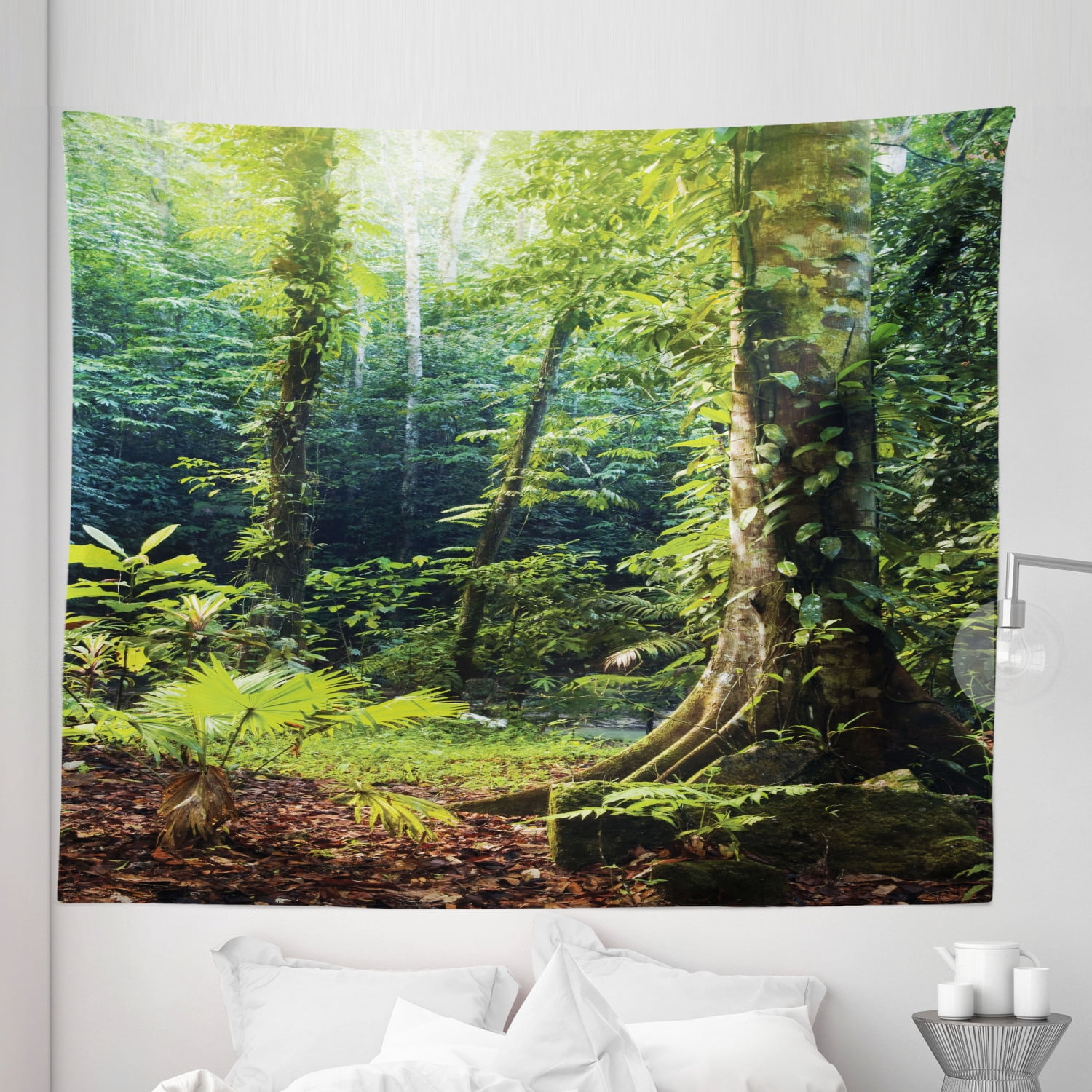Rainforest Tapestry, Morning Sunbeam Through Wild Forest Ivy on Trees ...