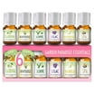 Premium Grade Floral Fragrance Oils Set - 6 Scents: Violet, Jasmine ...