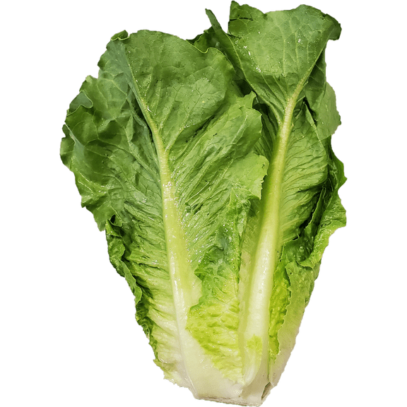 Fresh Romaine Lettuce Hearts 3 Count, Each - Walmart.com