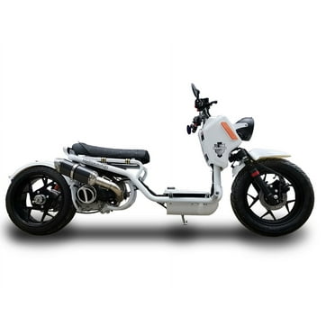 TaoTao Pony SP 50cc Scooter Moped - Walmart.com