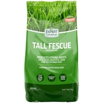 Expert Gardener Tall Fescue Drought Resistant Grass Seed Mix, for Sun ...