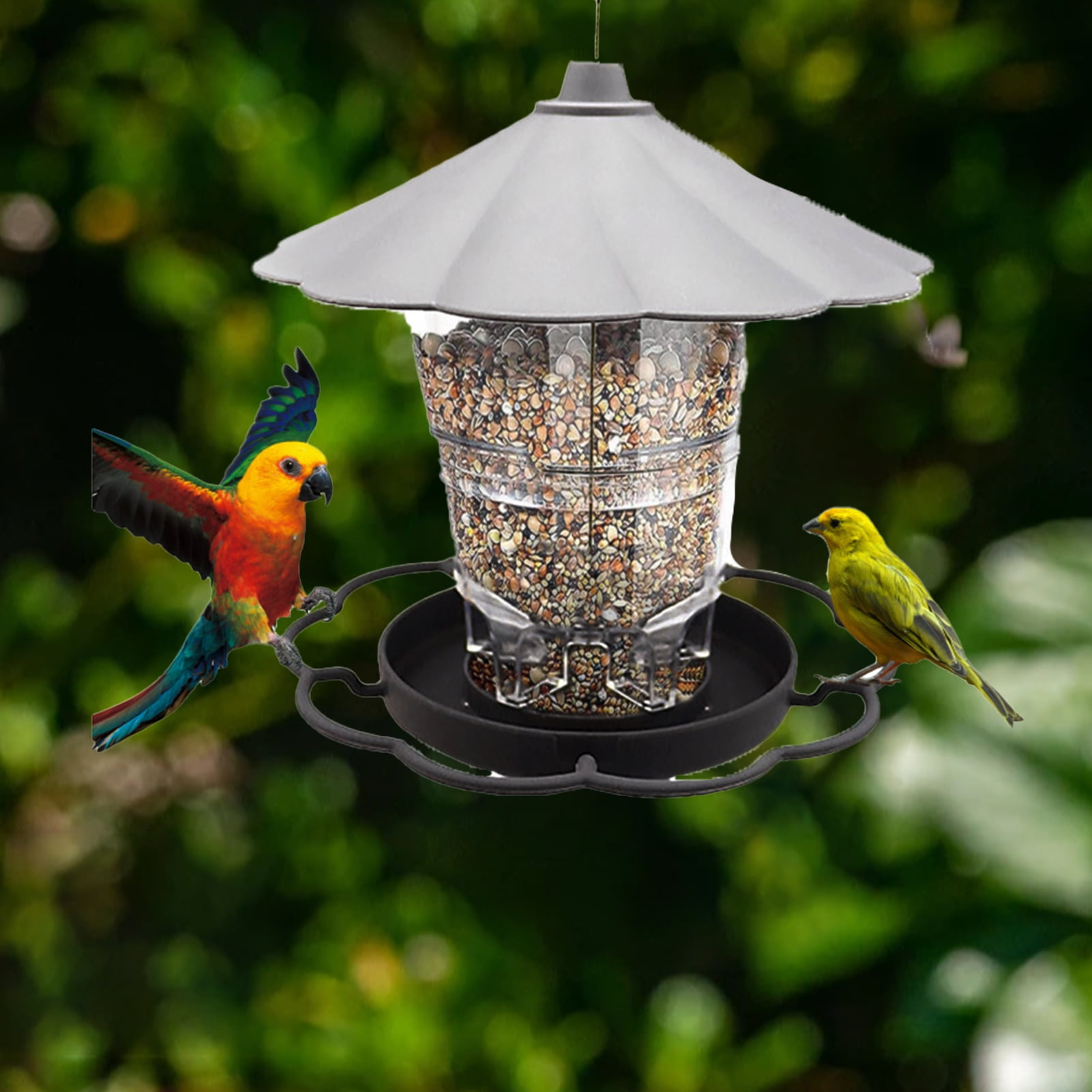 Travelwant Bird Feeders for Outside Bird Feeder Wild Bird Seed for ...
