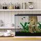 Tetra 29 Gallon Glass LED Aquarium Kit - Walmart.com